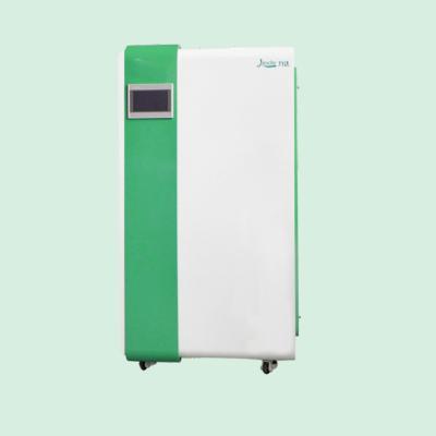 China 100LPH to 300LPH Double Pass RO System With EDI Water Plant for sale