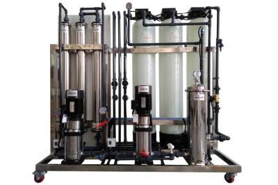 China 300LPH Double Class Reverse Osmosis System Water Treatment Machinery for Medical Use for sale