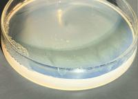 China Long Lasting Waterborne Polyurethane Resin With Reliable Performance for sale