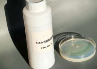 China Flexible Film Waterborne Polyurethane For Crack Resistance for sale