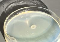 China Chemical Stable Waterborne Polyurethane With Smooth Appearance for sale