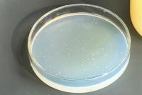 China Acrylic Emulsion Waterproofing Durable Protective Coating for sale