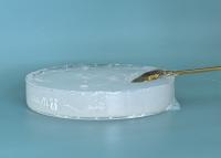China Water Based Acrylic Glue With Excellent Elasticity for sale