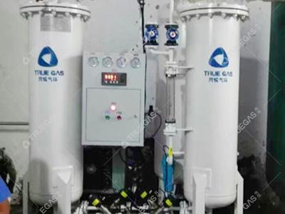 China High Purity 99.99% PSA Nitrogen Generator For Food Packing Machine for sale