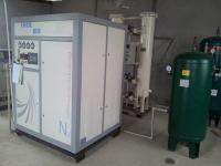 China Pet injection medicine  usage TY 20-99.999%  PSA Nitrogen Generator whole system for sale