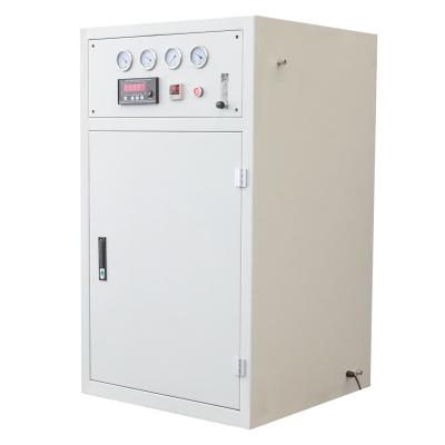 China Cabinet Style Laboratory Nitrogen Generator for sale