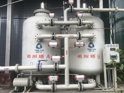 China 120 Nm3/H  Purity 95% PSA Nitrogen Generator Using In Painting Industry for sale