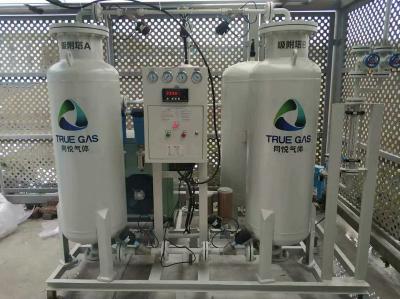 China Snack Chips 99.9% 0.6Mpa PSA Nitrogen Gas Plant for sale