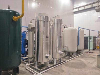 China Caron Deoxidization 99.999% High Purity Nitrogen Generator for sale