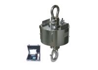 China Crane Scale Lifting Tools With Printer 1 ton - 50 ton , Shackle And Hook For Workshop / Warehouse for sale
