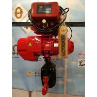 China 2 Ton 380V 440V Electric Chain Hoist with Power Trolley 2 Speed for Industrial Lifting for sale