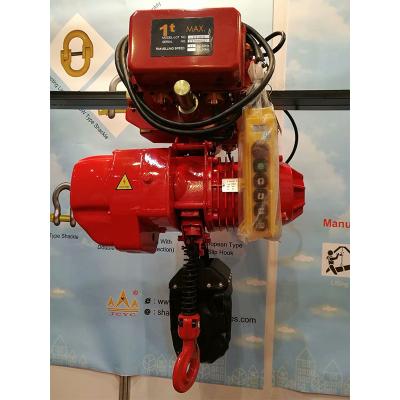 China 2 Ton 380V 440V Electric Chain Hoist with Power Trolley 2 Speed for Industrial Lifting for sale