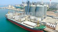 China Shipborne Cement Ship Unloader / Screw Ship Unloader 200 - 1000t/H Speed Variable for sale