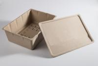 China 1.5mm Biodegradable Molded Paper Pulp Packaging - 100% Recycled OCC Material for Shoe Box Applications for sale