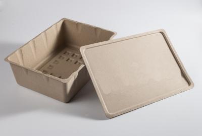 China 1.5mm Biodegradable Molded Paper Pulp Packaging - 100% Recycled OCC Material for Shoe Box Applications for sale