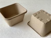 China WaterProof Dry Press Molded Fiber Fruit Containers 0.8mm Thickness 100% Recyclable Custom Sizes for sale