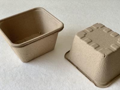 China WaterProof Dry Press Molded Fiber Fruit Containers 0.8mm Thickness 100% Recyclable Custom Sizes for sale
