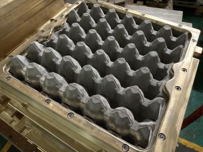 China Brass Plastic 30 Egg Tray Pulp Mold with 2-3 Year Lifespan for Rotary Machines for sale