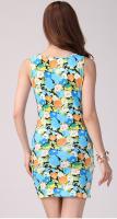 China Sexy Sleeveless Scoop Neck Floral Print Retro Style Cotton Blend Dress For Women for sale