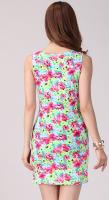 China Sexy Sleeveless Scoop Neck Floral Print Retro Style Cotton Blend Dress For Women for sale