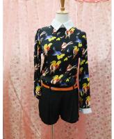 China Fashionable Style Bird Print Long Sleeves Peter pan Collar Chiffon Blouses For Ladies for sale