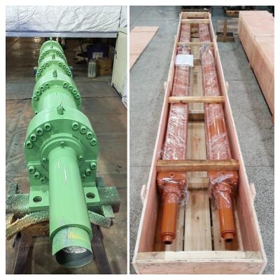 China Tailored Diameter stainless steel Customized Hydraulic Cylinder In Boarding Ladder for sale