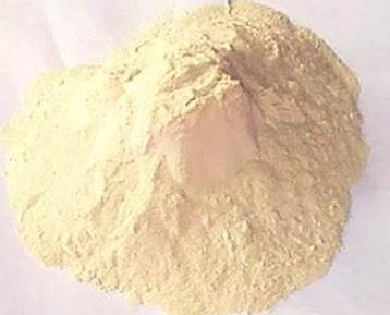 China Vital wheat gluten powder for baking food production additive for sale