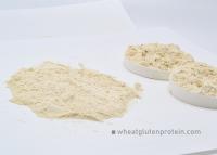 China Physical Extraction Food Grade Wheat Gluten Protein Enhancer For Food Manufacturing for sale