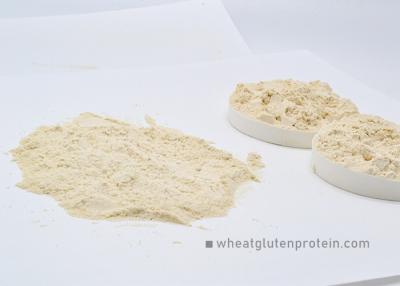 China Physical Extraction Food Grade Wheat Gluten Protein Enhancer For Food Manufacturing for sale