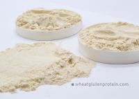 China Bread Baking Vital Wheat Gluten Powder No Smell Nutrition Enhancers 25 Kg / Bag for sale