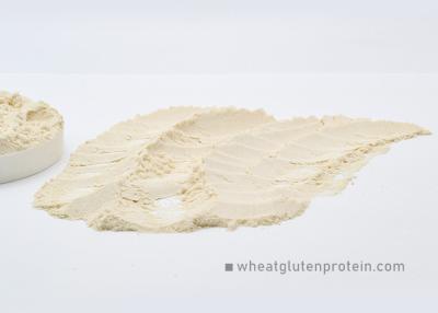 China Food / Pharma Grade Vital Wheat Gluten Powder No GMO In Paper Bags for sale