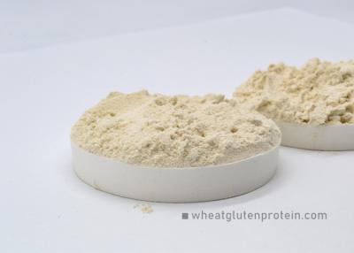 China Healthy Natural Vital Wheat Gluten Powder For Bread ISO / HACCP Certification for sale