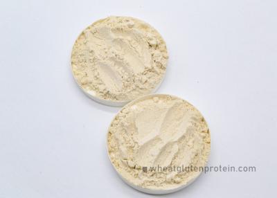 China Healthy Pure Wheat Gluten Powder Fine Feedstuff Ingredient of Protein for sale