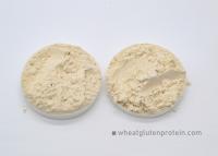 China Vital Wheat Gluten Powder For Food Industry 24 Months Shelf Life for sale