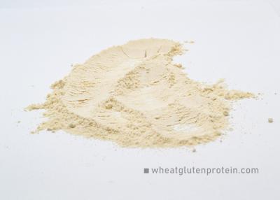 China nutrition Bran Dough 78% Vital Wheat Gluten for sale