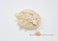 China Light Yellow Nx6.25 25kg Vital Wheat Gluten Powder for sale