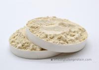 China Light Yellow Vital Wheat Gluten Powder Application In Meat Fish Poultry Products for sale