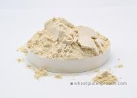 China Bread Hamburgers 25Kg/Bag Wheat Gluten Protein Powder for sale