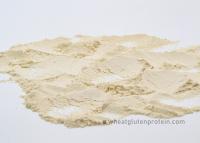 China Natural Vital Wheat Gluten As Flour Fortifier To Make Bread And Hamburger for sale