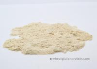 China Food Industry 82.2% Vital Wheat Gluten Produce Gluten Bran Dough Ham Sausage for sale