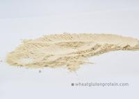 China Nx6.25 Wheat Gluten Protein Powder Pastas Meat And Seafood Analogs for sale