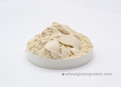 China Water Insoluble Dried Vital Wheat Gluten Protein Powder 25 Kg / Bag for sale