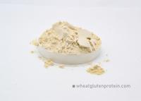 China Natural Protein Enhancer for Feedstuffs of Aquaculture Dried Wheat Gluten for sale