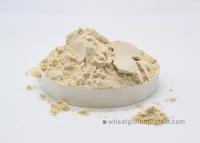 China Slightly Yellowish Fine Dried Wheat Gluten Powder For Human Foods for sale