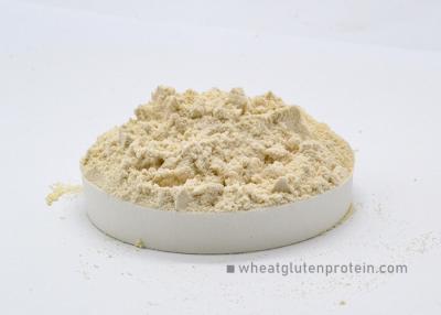 China Vital Wheat Gluten for Additive in Bread Flour , Pasta Noodles for sale