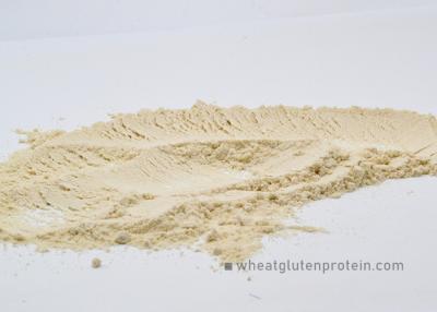 China Food Industry Protein From Wheat Flour , No Smell Dried Wheat Gluten for sale