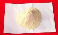 China Healthy Vegetable Protein Vital Wheat Gluten Powder In Multiply Paper Bags for sale