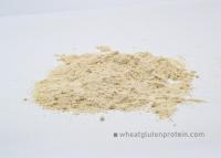 China Light Yellow Dried Wheat Gluten Powder For Feed Nutrition 24 Months Shelf Life for sale