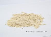 China 232-317-7 Dried Wheat Gluten For Feed Manufacturing for sale