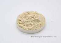 China Slightly Yellowish Wheat Protein Powder Nutrition Enhancers For Food Industry for sale
